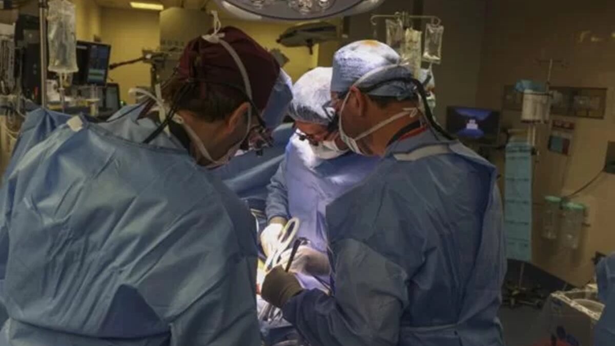 Homem que recebeu transplante de rim de porco morre nos Estados Unidos ... Homem que recebeu transplante de rim de porco morre nos Estados Unidos ...