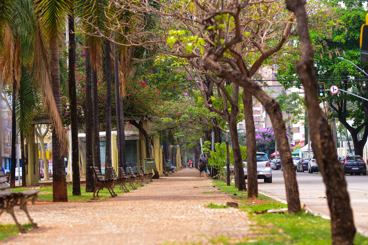 Prédio abandonado no Centro de Goiânia será transformado em moradia ...
