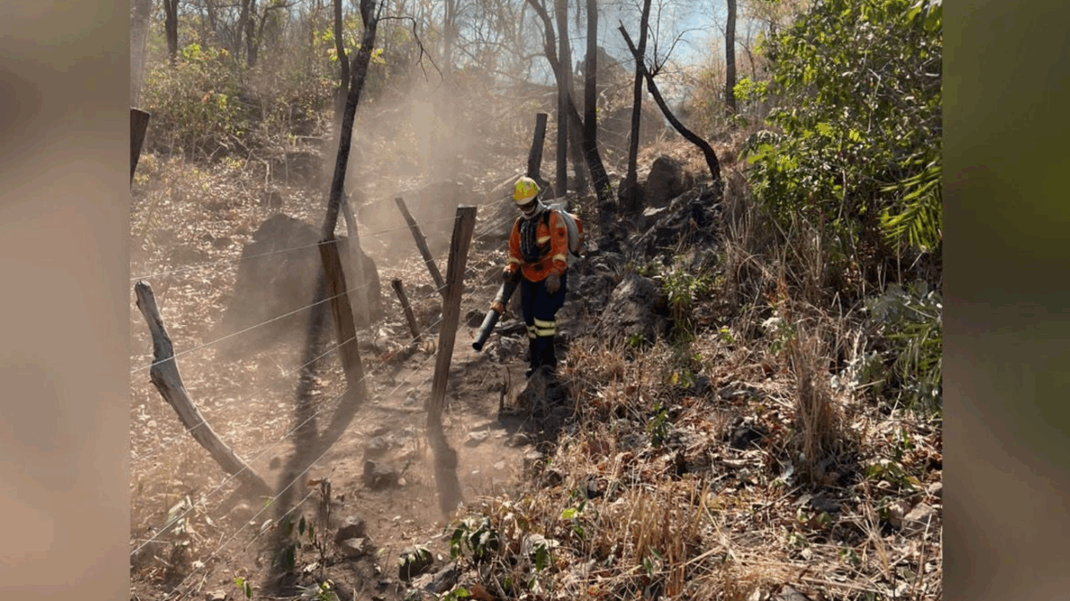Bombeiros controlam maior incêndio florestal do Brasil após 33 dias de ...