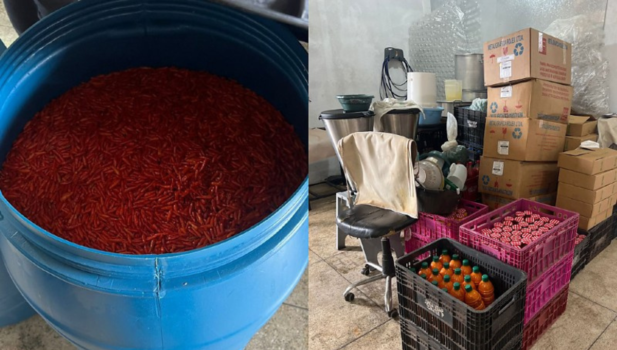 Operação fecha fábrica clandestina de fabricação de pequi e molhos de ...